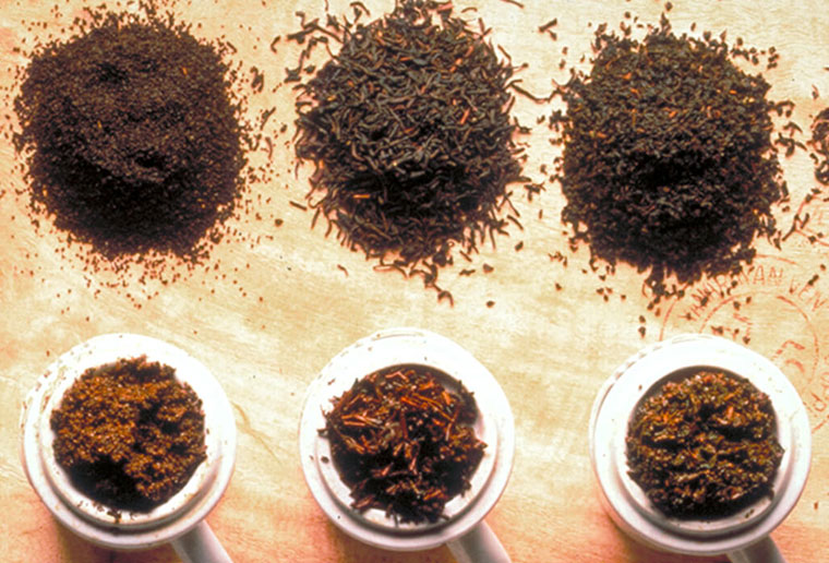 Bünting Tee: Teesorten